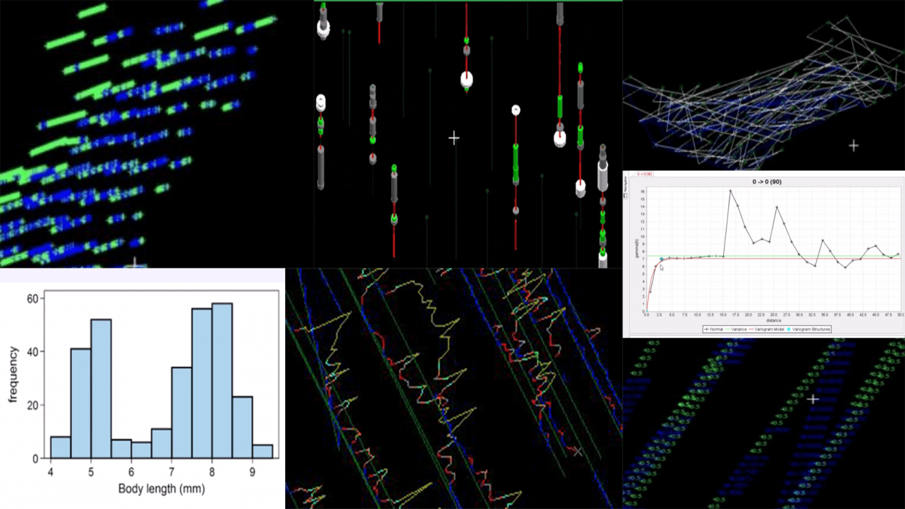 Services Estimation et Modélisation d’un gisement - Geoguys